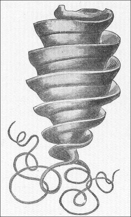 Shark Sex: Reproduction, Double Penises, Hybrids and Virgin Birth | Sea ...