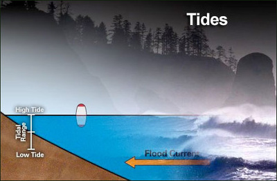 Ocean Tides: Types, Terms, Forces | Sea Life, Islands and Oceania ...