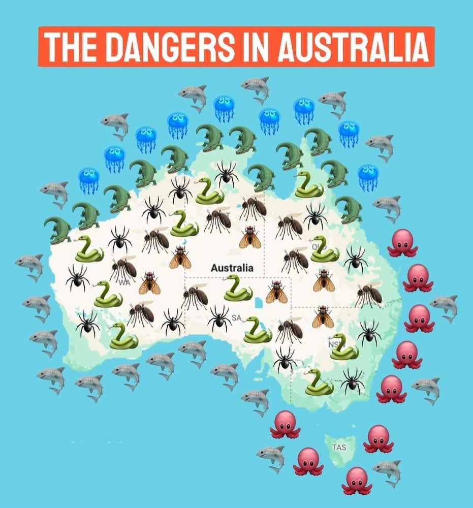 Dangerous Animals in Australia | Sea Life, Islands and Oceania — Facts ...