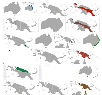 Bandicoots: Characteristics, Behavior and Reproduction | Sea Life ...