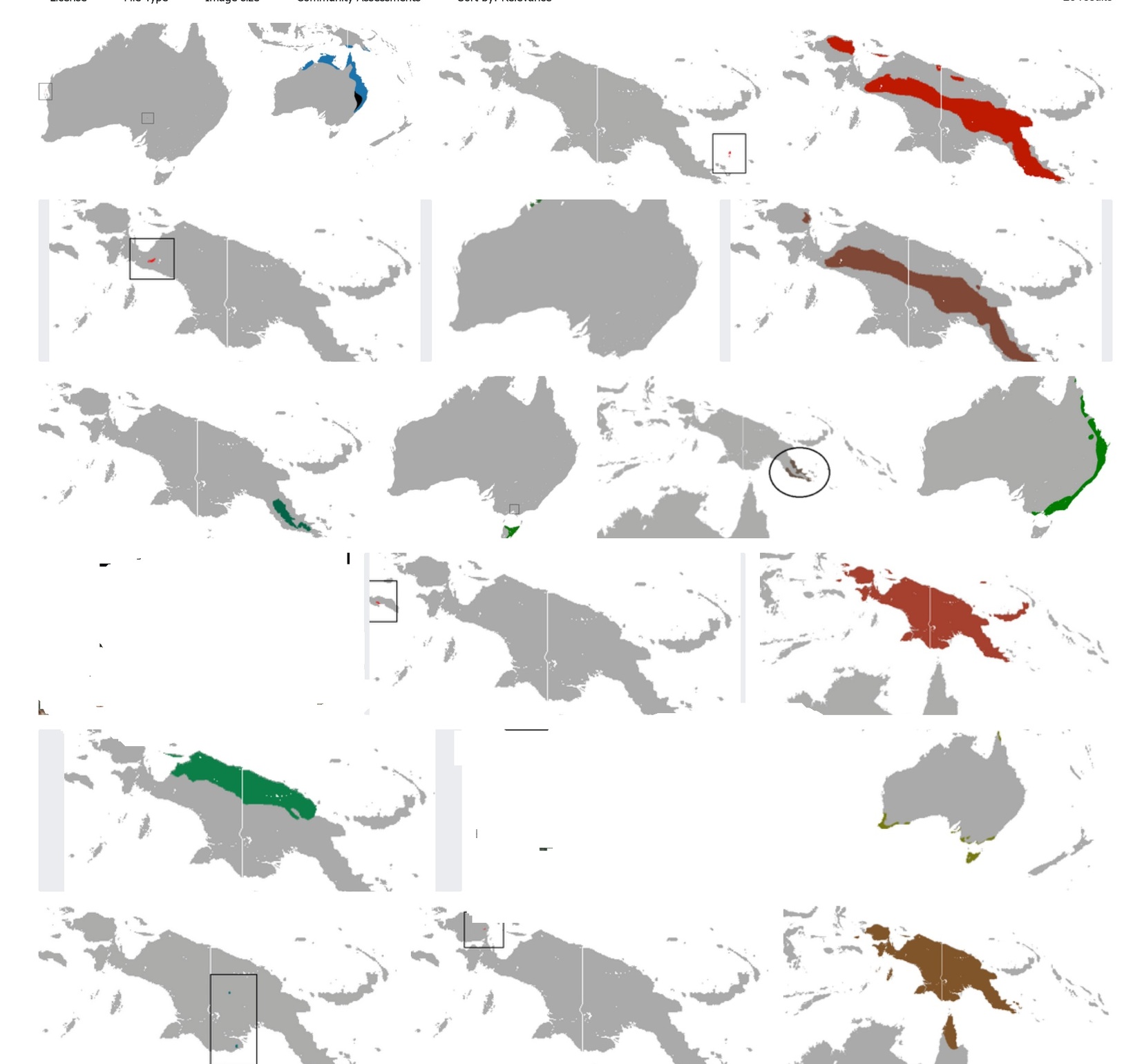 Bandicoots: Characteristics, Behavior and Reproduction | Sea Life ...