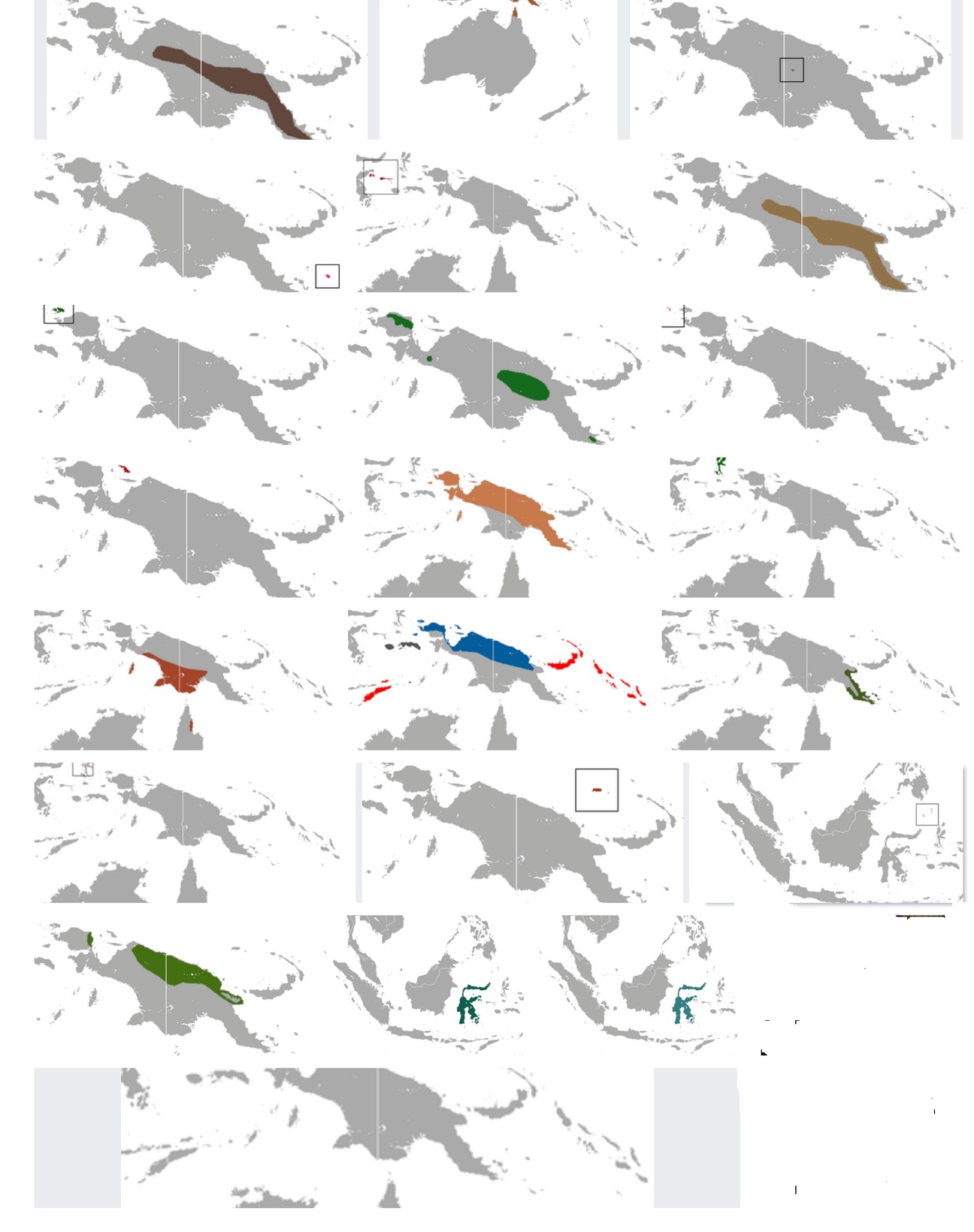 Cuscuses: Characteristics, Species, Behavior and Reproduction | Sea ...