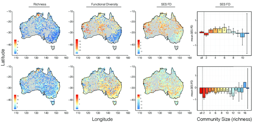 Goannas (Monitor Lizard) Species of Australia | Sea Life, Islands and ...
