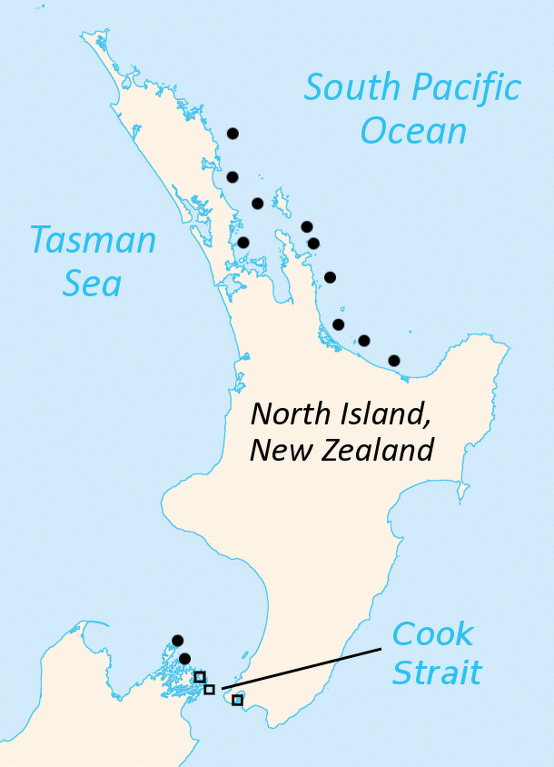 Tuataras: Characteristics, Behavior, Reproduction, Uniqueness Among ...