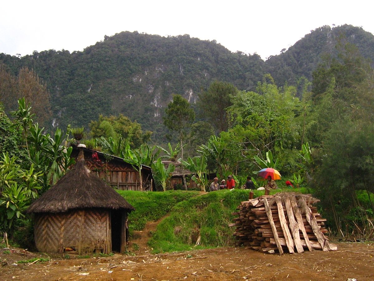 Chimbu (Simbu): History, Life, Society and Skeleton Men | Sea Life ...
