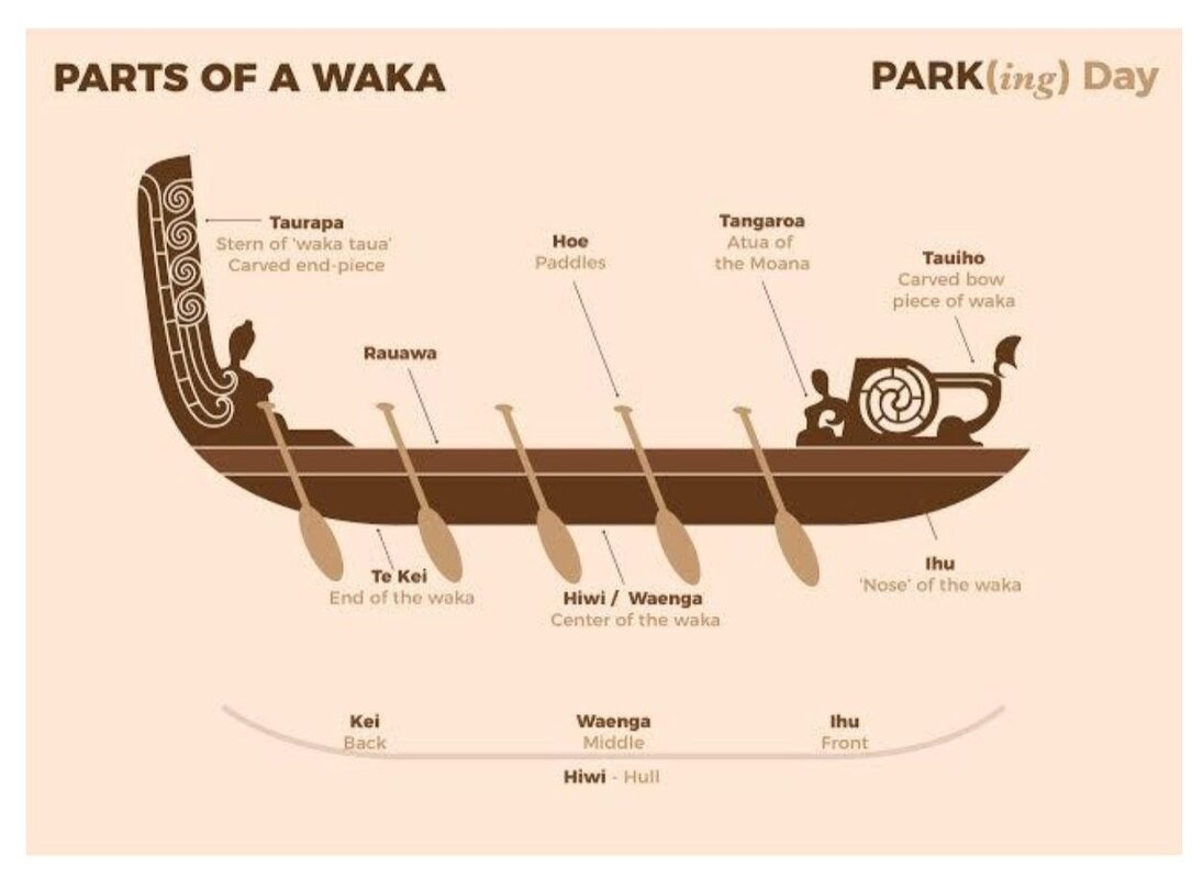 Waka (Māori Canoes): History, Types, Art, How They Are Made | Sea Life ...