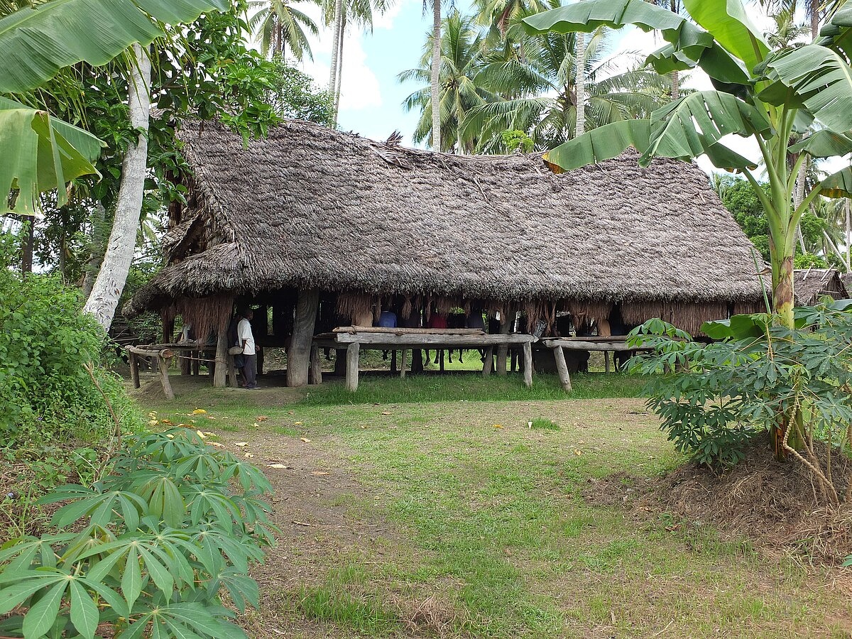 Sepik River Groups: Where They Live, Art, Spirit Houses, Crocodiles ...