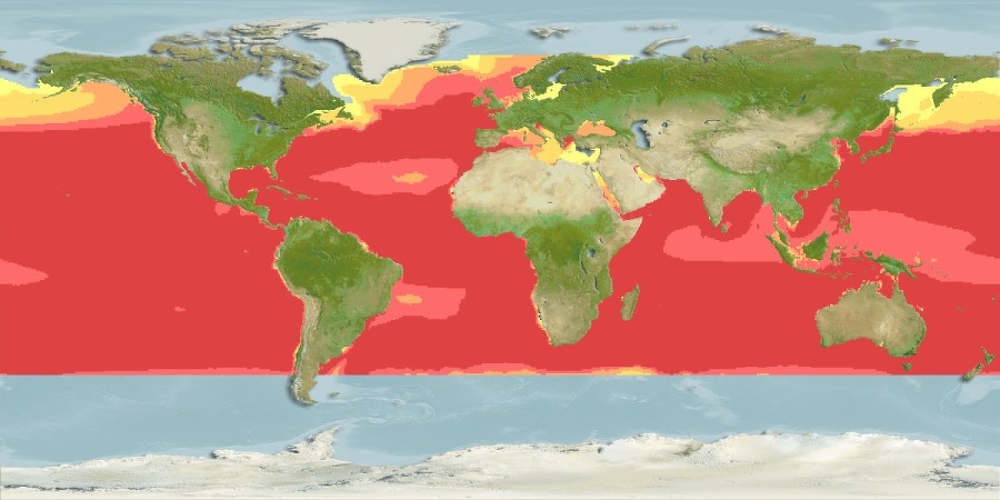 Opah — The Only Known Warm-Blooded Fish — Characteristics and Fishing ...